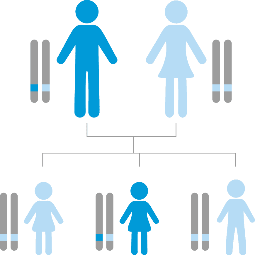 hATTR Amyloidosis | Genetics and T80A Roots